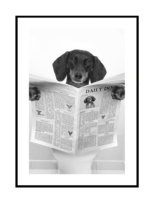 THE DAILY DOG | The House Outfit